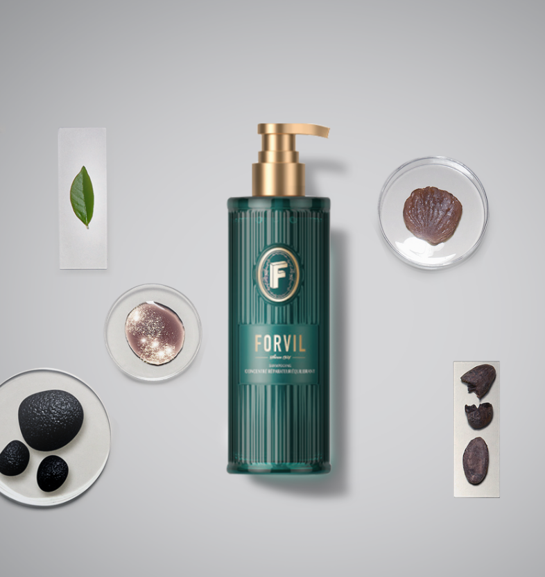 FORVIL温莎森林-FORVIL中国官网-温莎森林官网-温莎森林中国官网